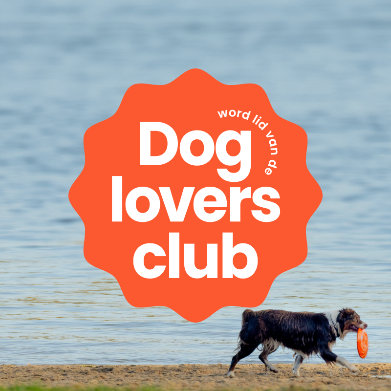 Dogloversclub | Dogloversclub